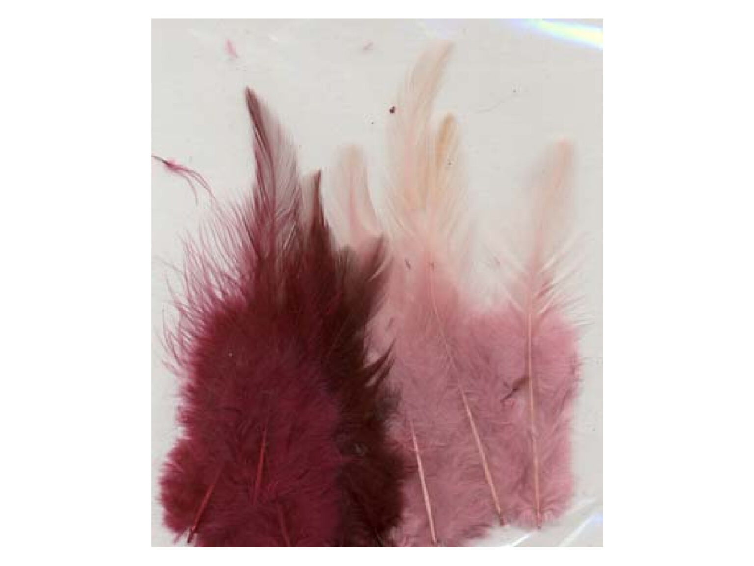 Perje mix "Vino" - Pe.got trgovina